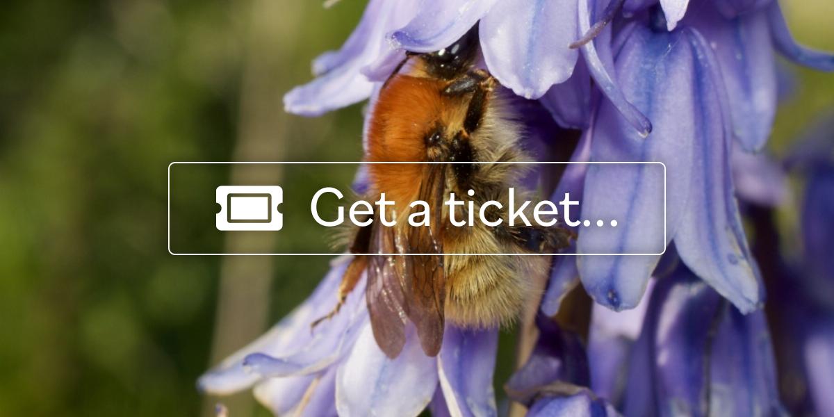 Managing meadows for pollinators and other insects