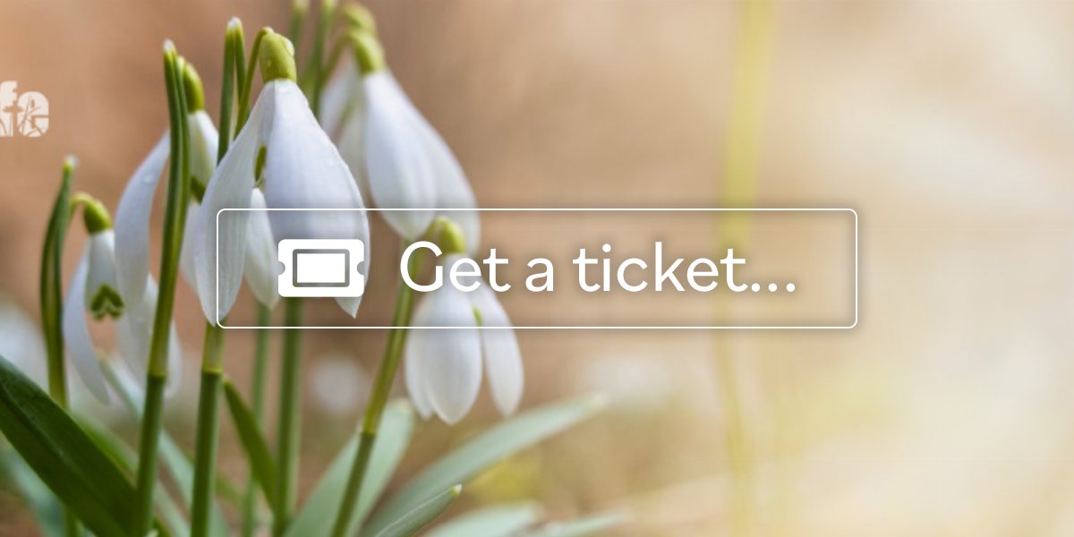 Spring into action with Plantlife: Living-Language-Land: Listening to ...