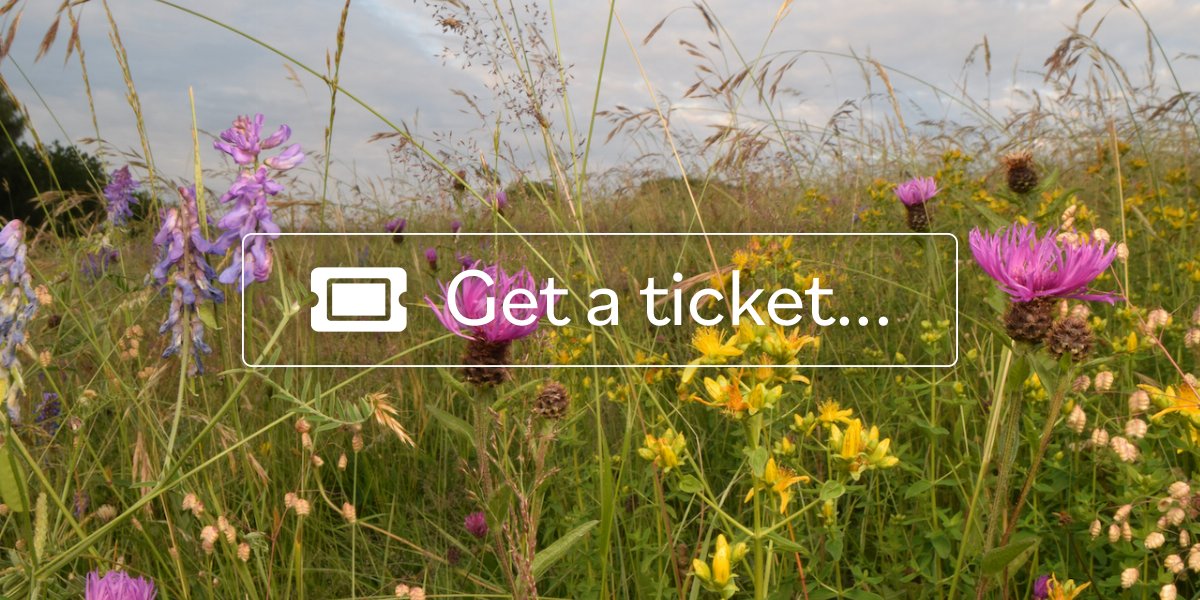 Identification workshop: Common meadow and grassland plants (in-person)