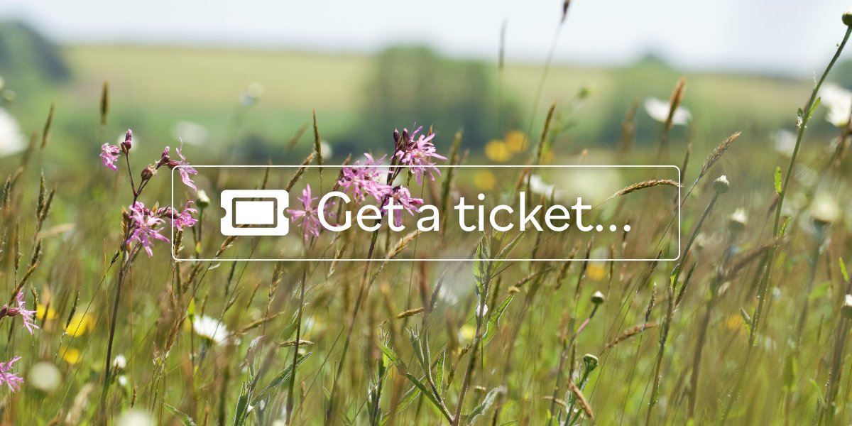 Meadow making – Creating a meadow management plan for your site