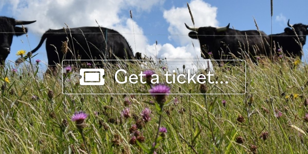 Conservation Grazing – the benefits of winter grazing to restore ...